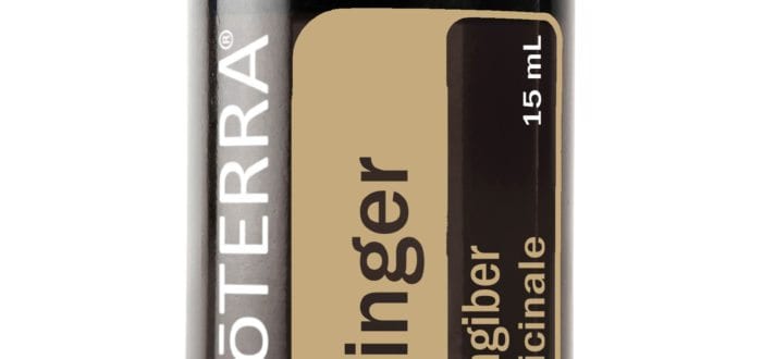 Ginger | Energy-Balance